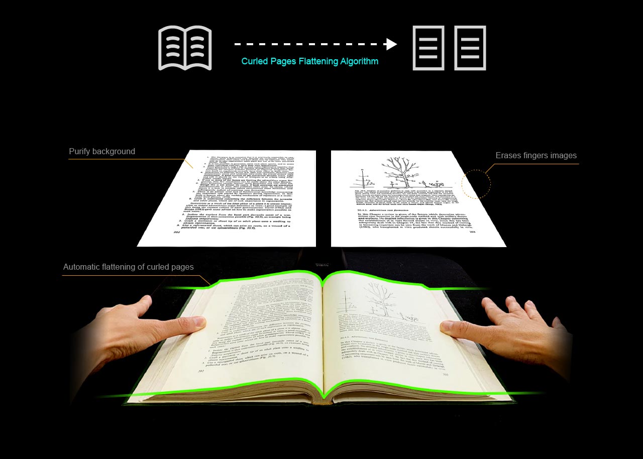 VIISAN DL18 - Digitalsense